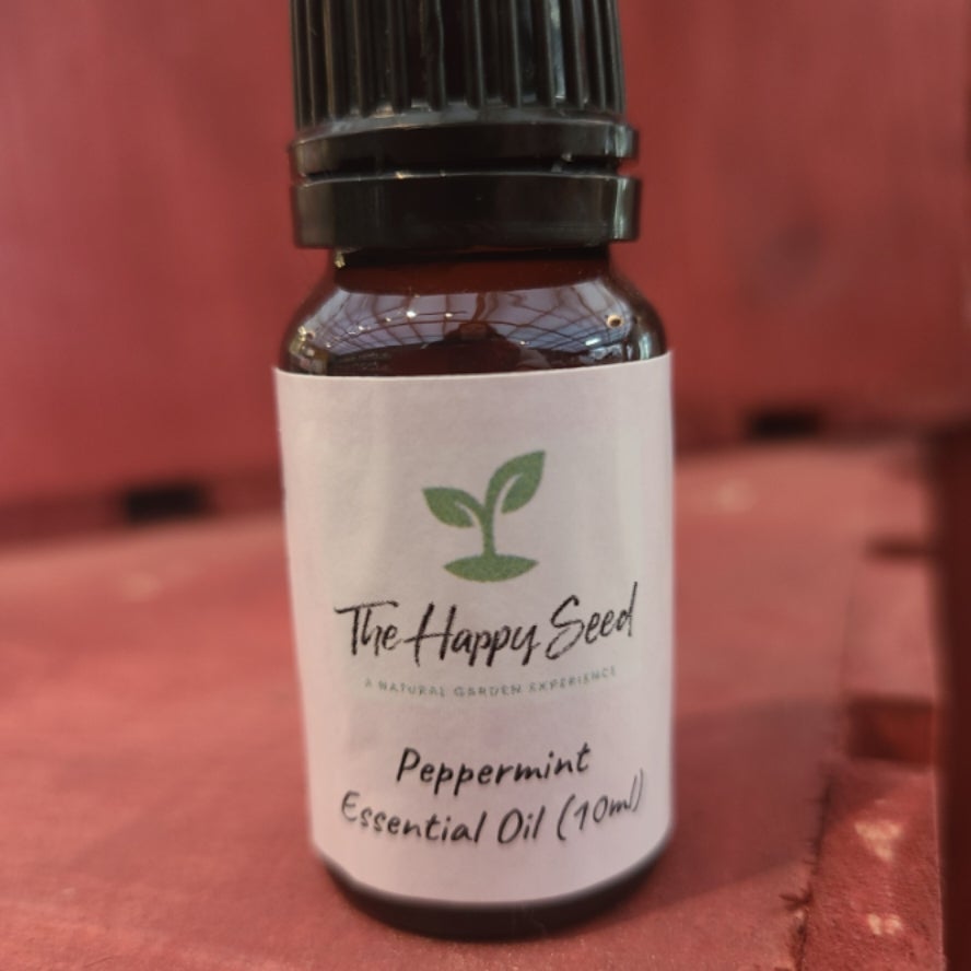 Peppermint (Indian) Essential Oil | The Happy Seed Company